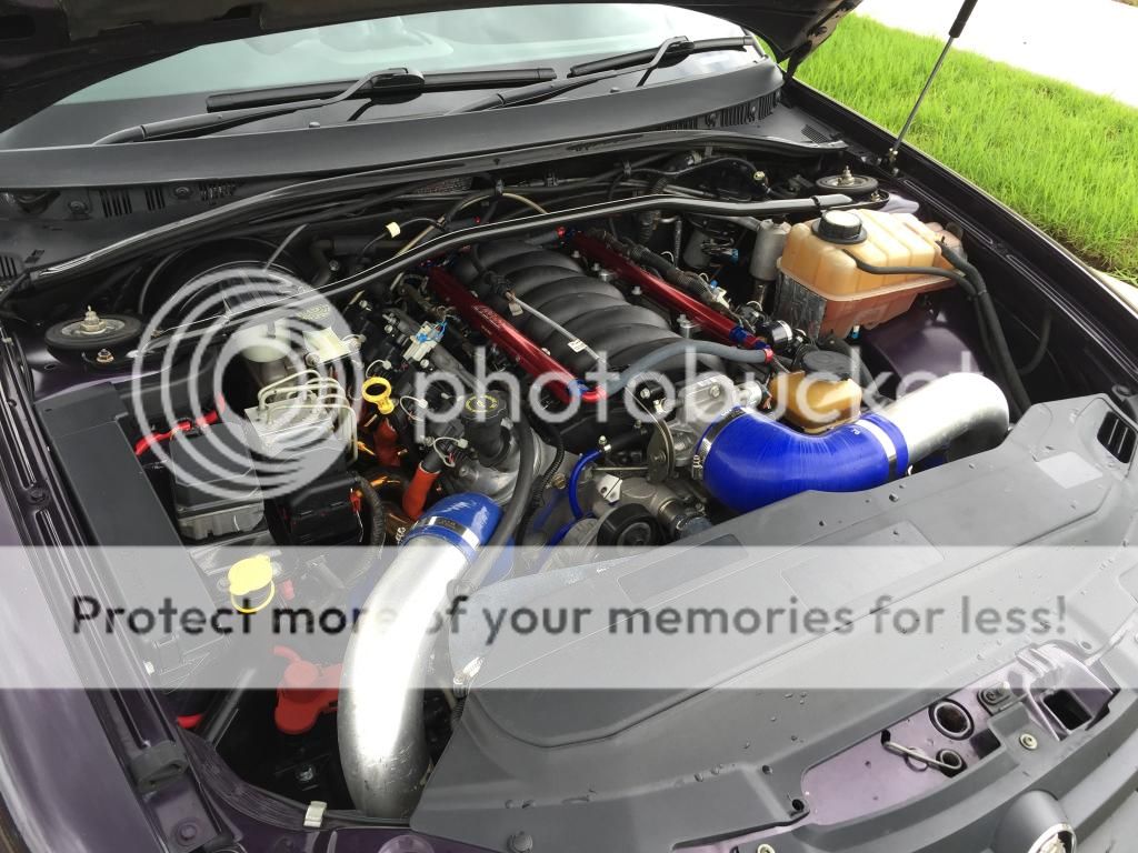 For Sale: FS: VY SS Twin Turbo SC Feature Car